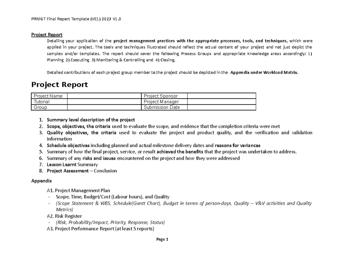 PRMGT Final Report Template - Project Report Detailing your application ...