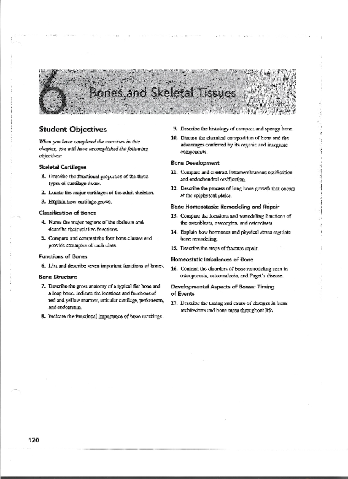 Bio chapter 6 packet - Bones and Skeleton Tissue - Bones and Skeletal ...