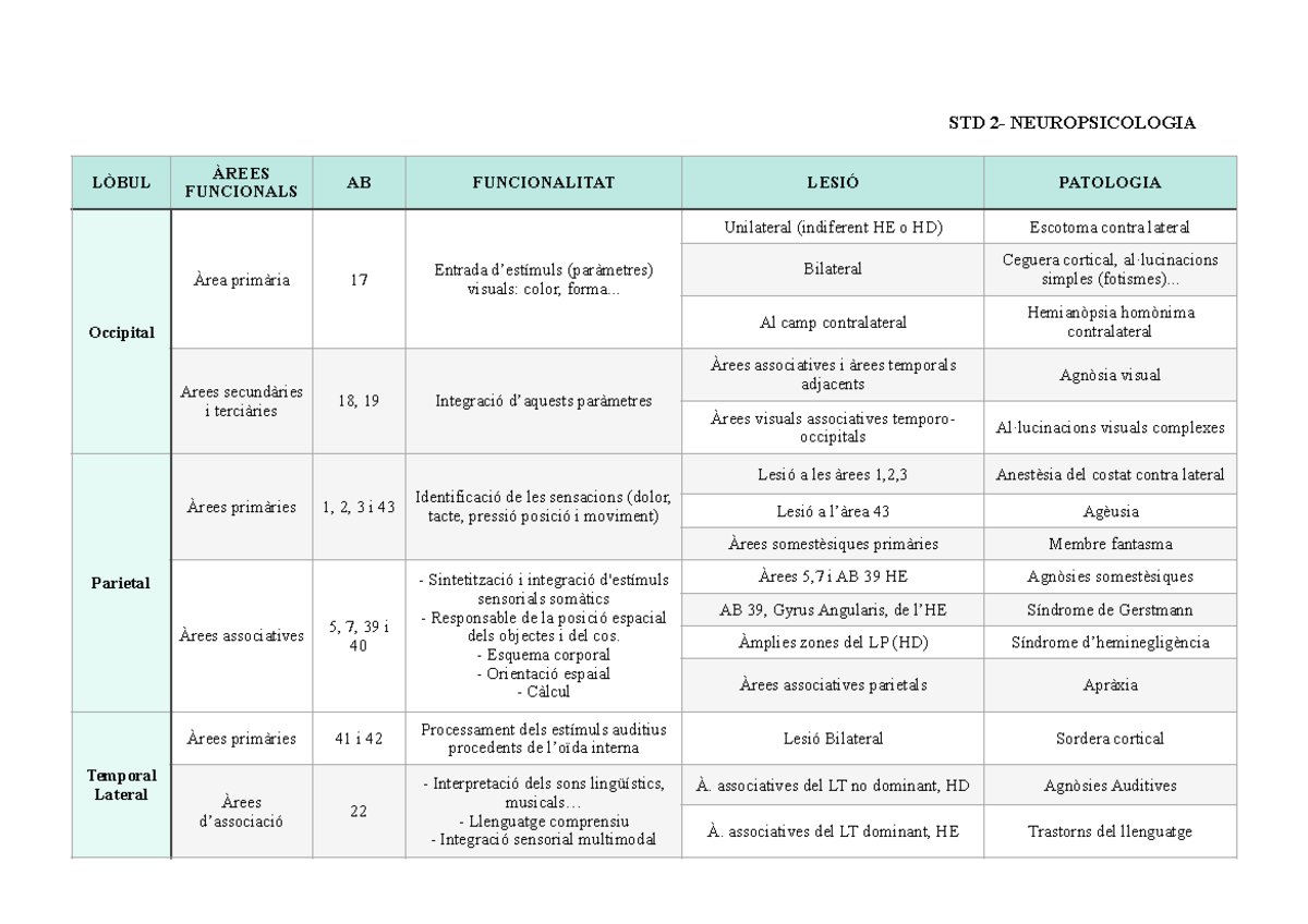 STD2 - STD2 - Neuropsico - STD 2- NEUROPSICOLOGIA LÒBUL ÀREES FUNCIONALS AB FUNCIONALITAT LESIÓ ...