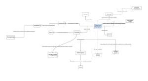 Concept map - a diploid cell produces two diploid cells How cell ...