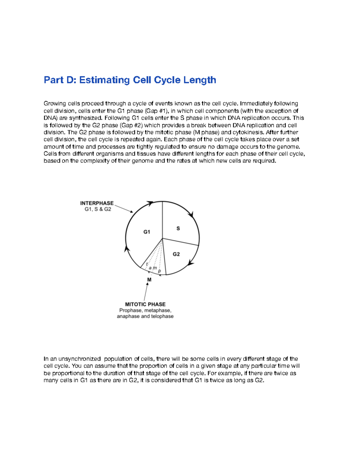 3. Calculations for determining length of cell cycle and each of the ...