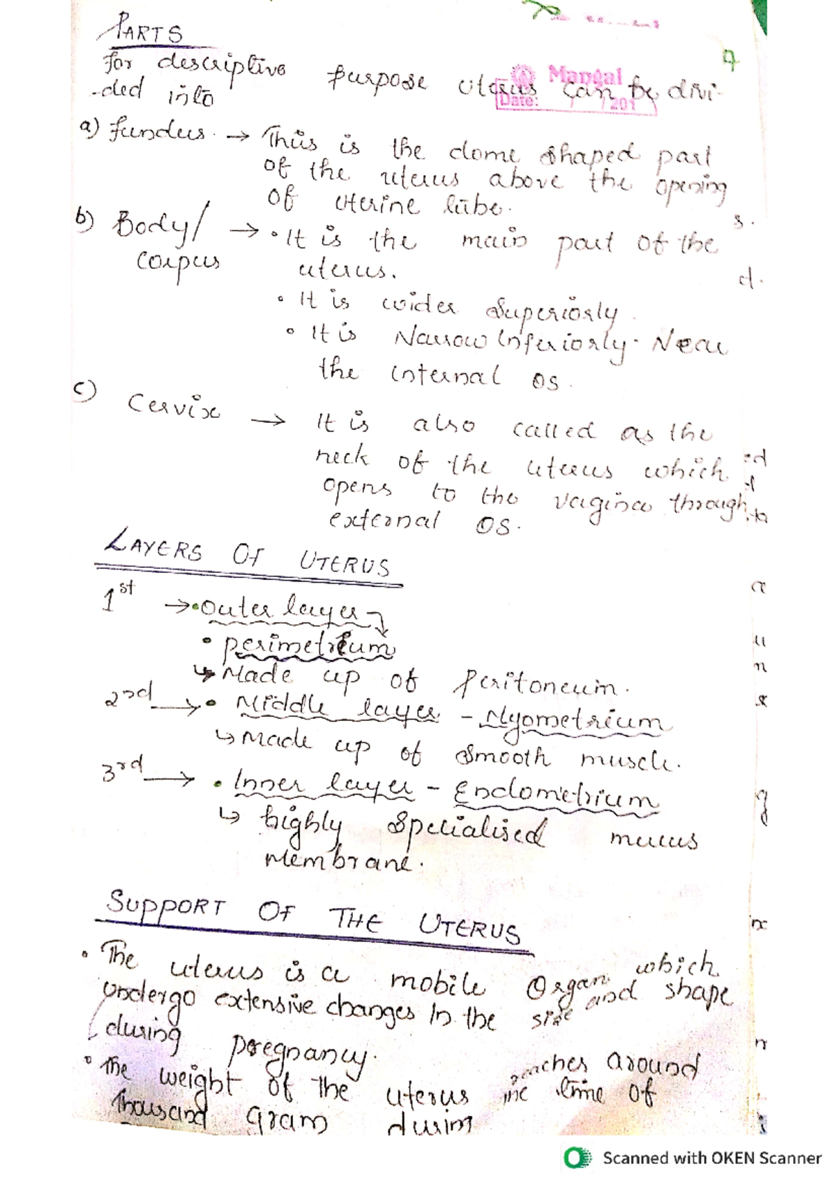 Digestive system - Bsc.nursing - Studocu