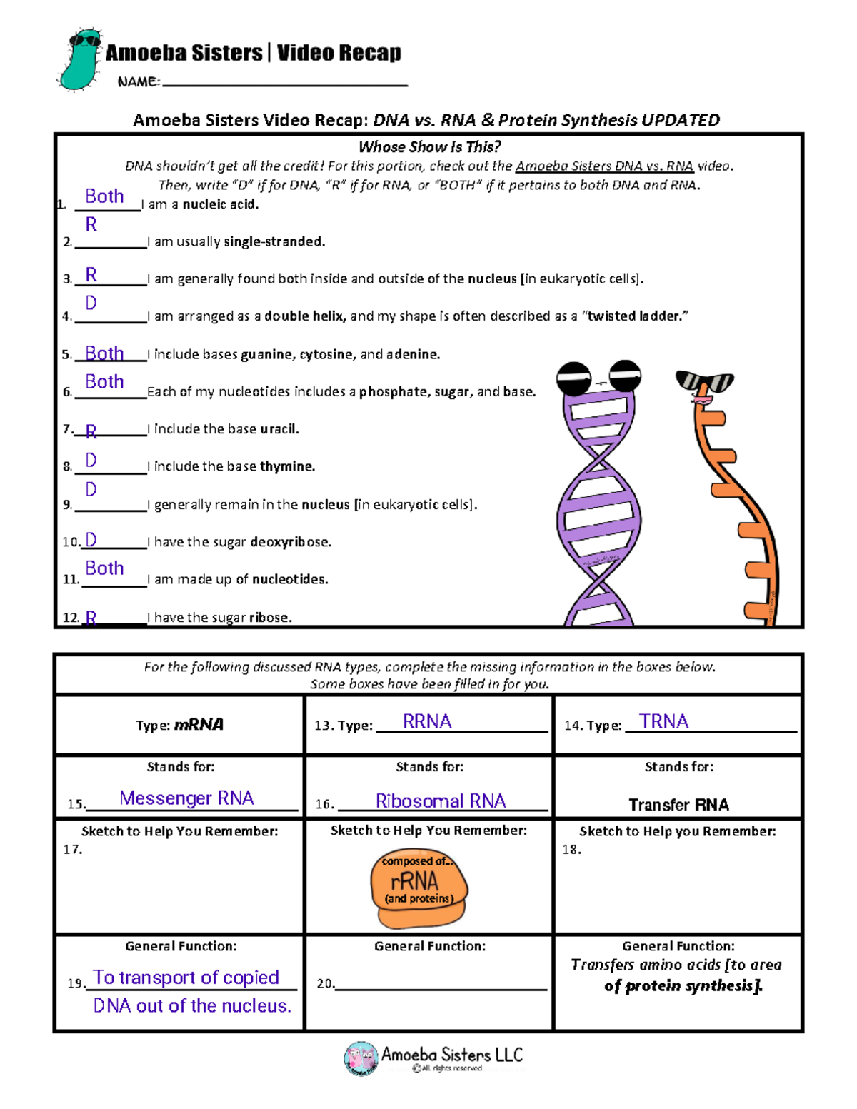 Aniya'h Barnes - Amoeba Sisters Protein synthesis - Amoeba Sisters ...
