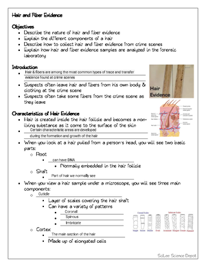 Trace Evidence Hair and Fiber Review - The final growth phase in which ...