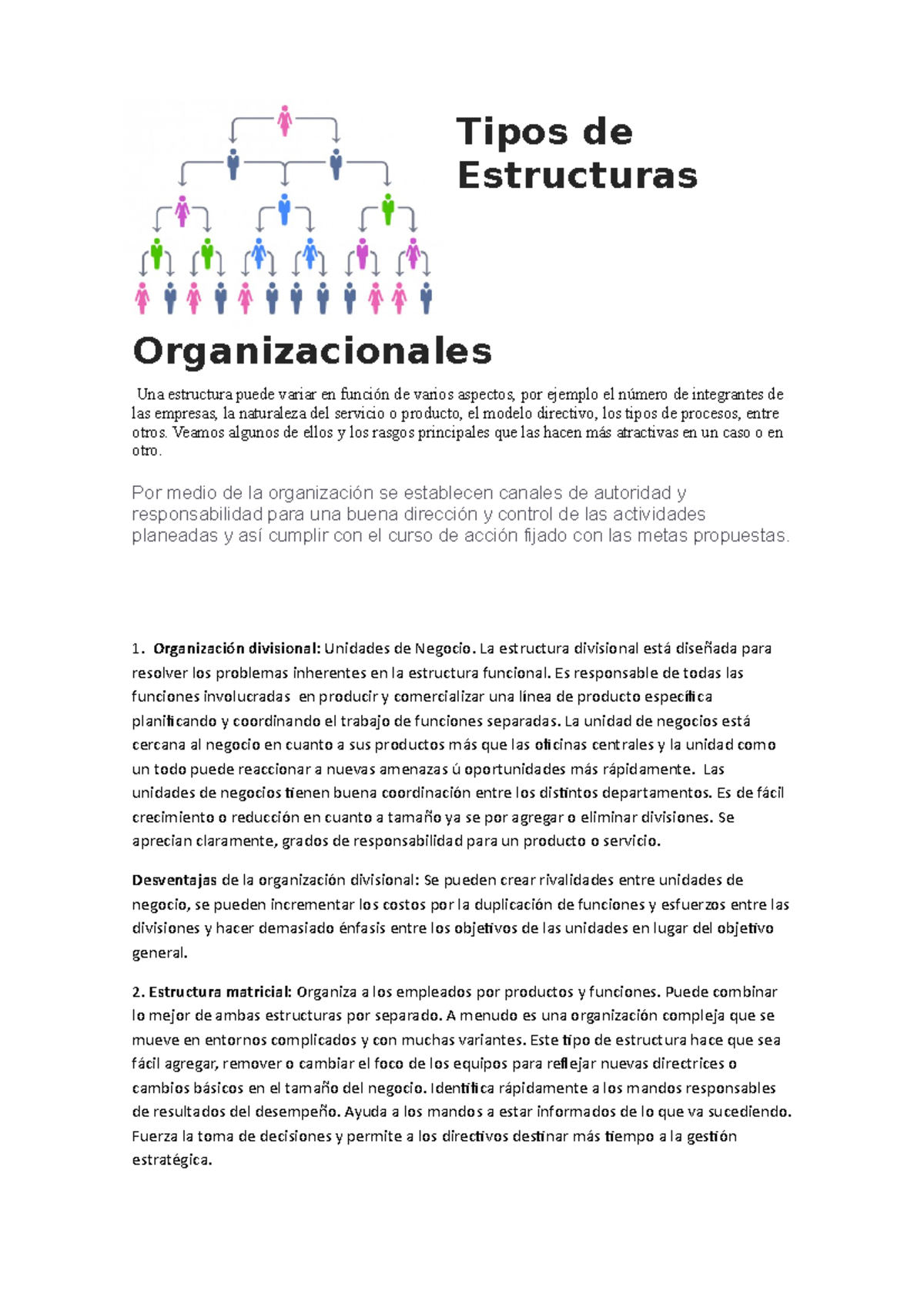 Tipos de Estructuras Organizacionales - Tipos de Estructuras ...