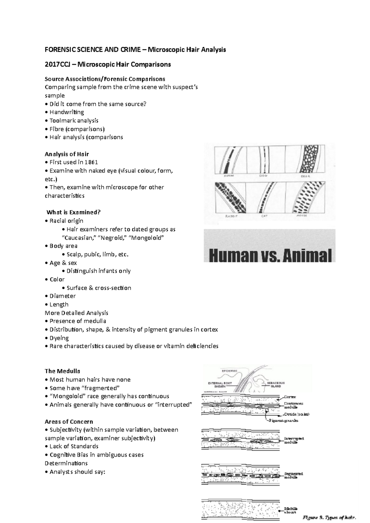 Forensic Science AND Crime - FORENSIC SCIENCE AND CRIME – Microscopic ...