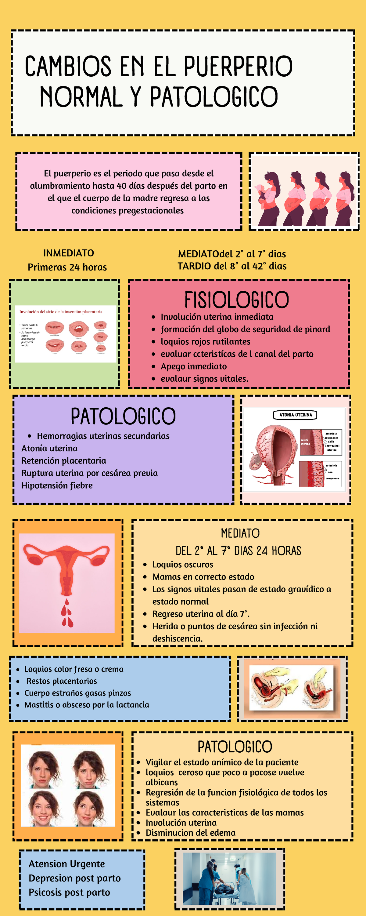 Infografía - infografia - CAMBIOS EN EL PUERPERIO NORMAL Y PATOLOGICO ...