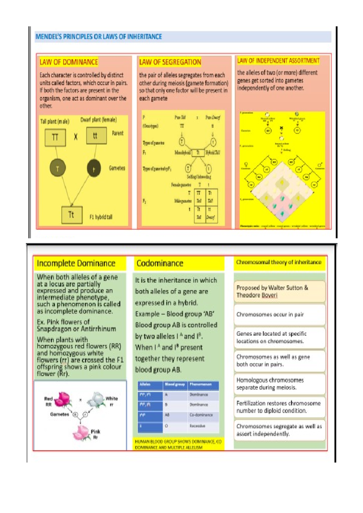 Inheritance Short Notes - PRINCIPLES OR LAWS OF INHERITANCE LAW OF ...