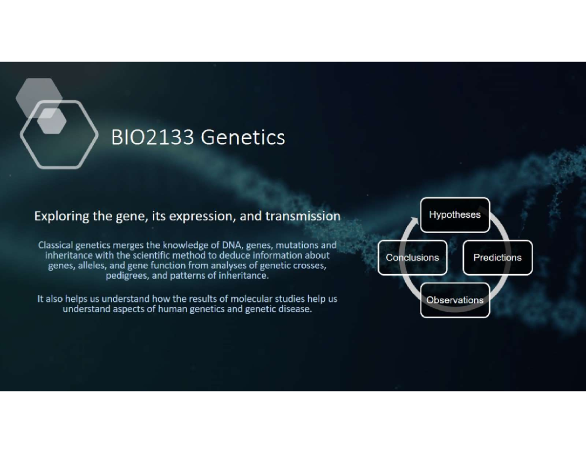 BIO lecture 4 - BIO2133 - Studocu