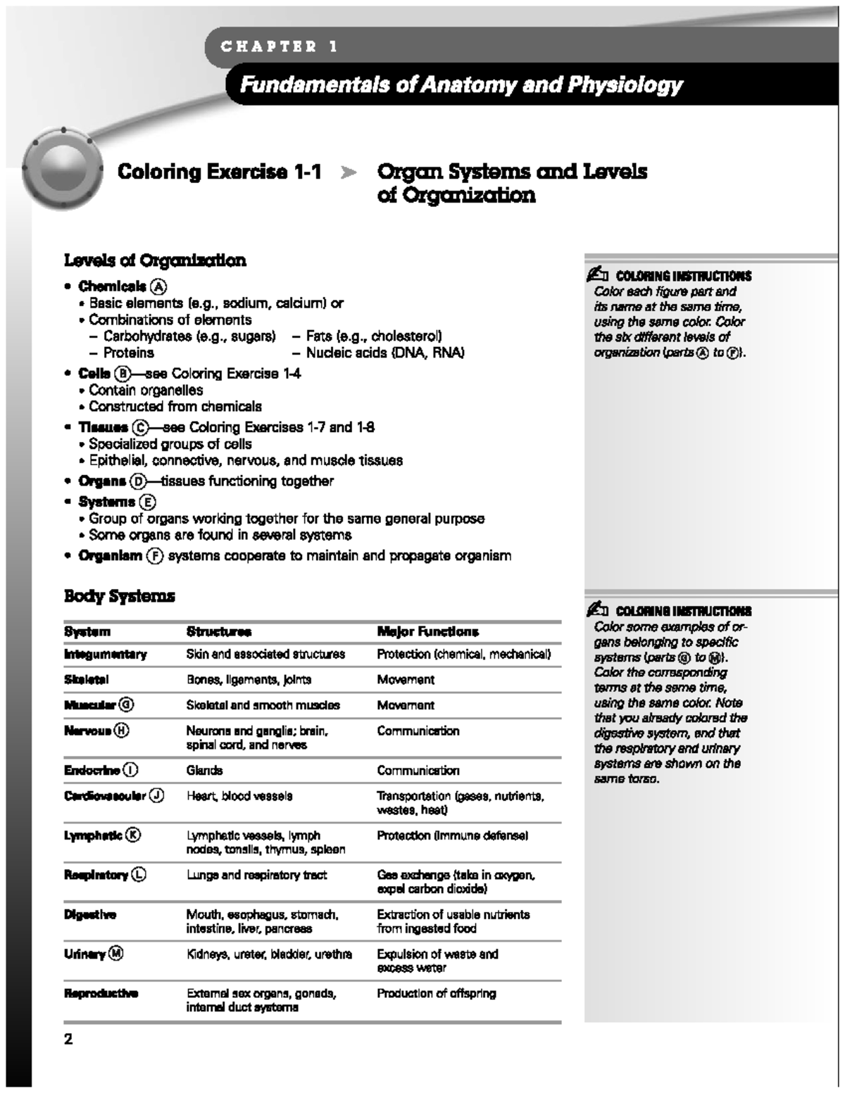 Intro to A&P - Coloring - Organ Systems and Levels - CHAPTER 1 ...