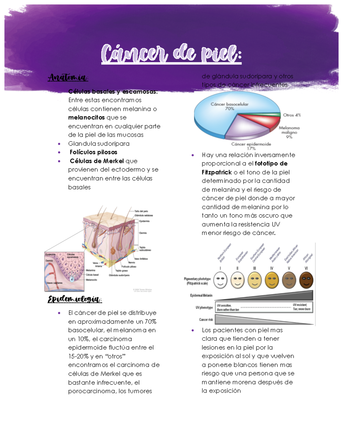 Cáncer de piel - Cáncer de piel(aspectos generales) - Anatomía: Células ...