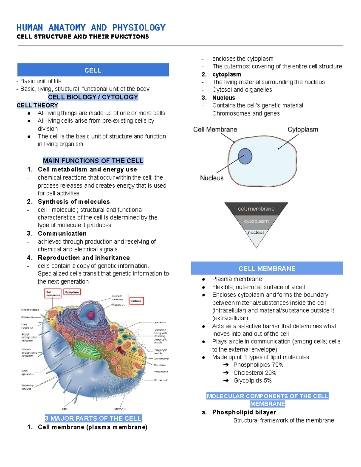 Cells - CELL STRUCTURE AND THEIR FUNCTIONS CELL Basic unit of life ...