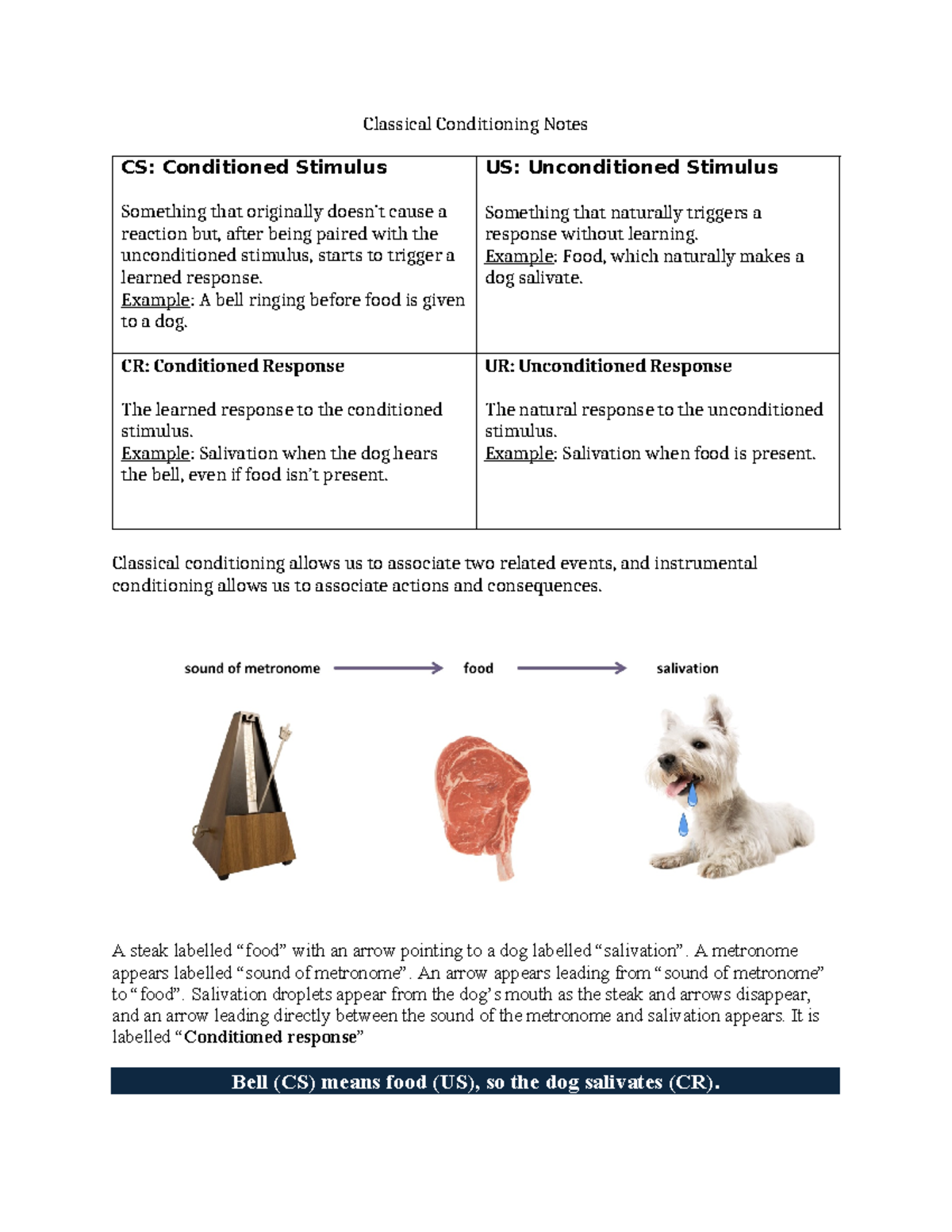 Classical Conditioning Notes - Example: A bell ringing before food is ...