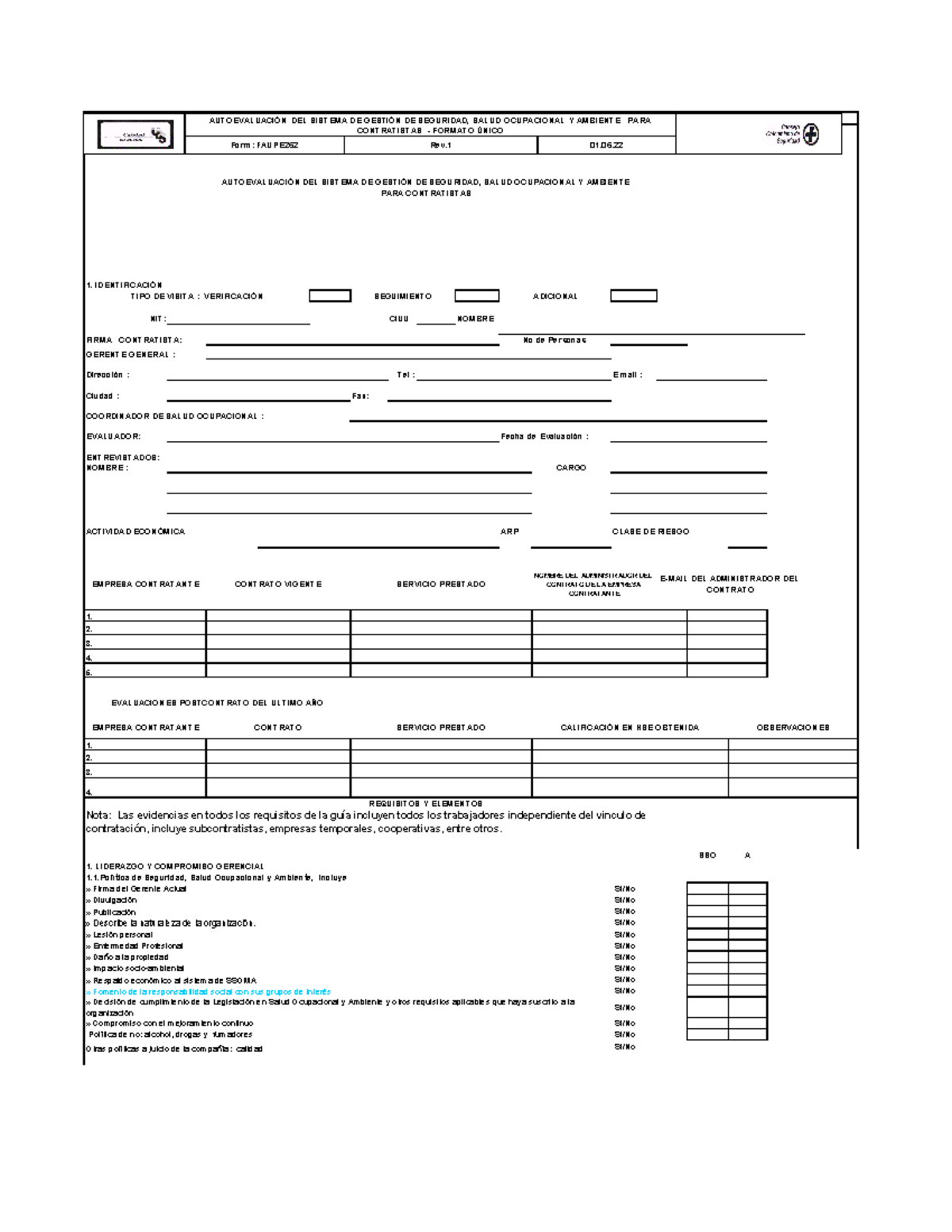 Formato Unico 1 RUC - AUTOEVALUACIÓN DEL SISTEMA DE GESTIÓN DE ...