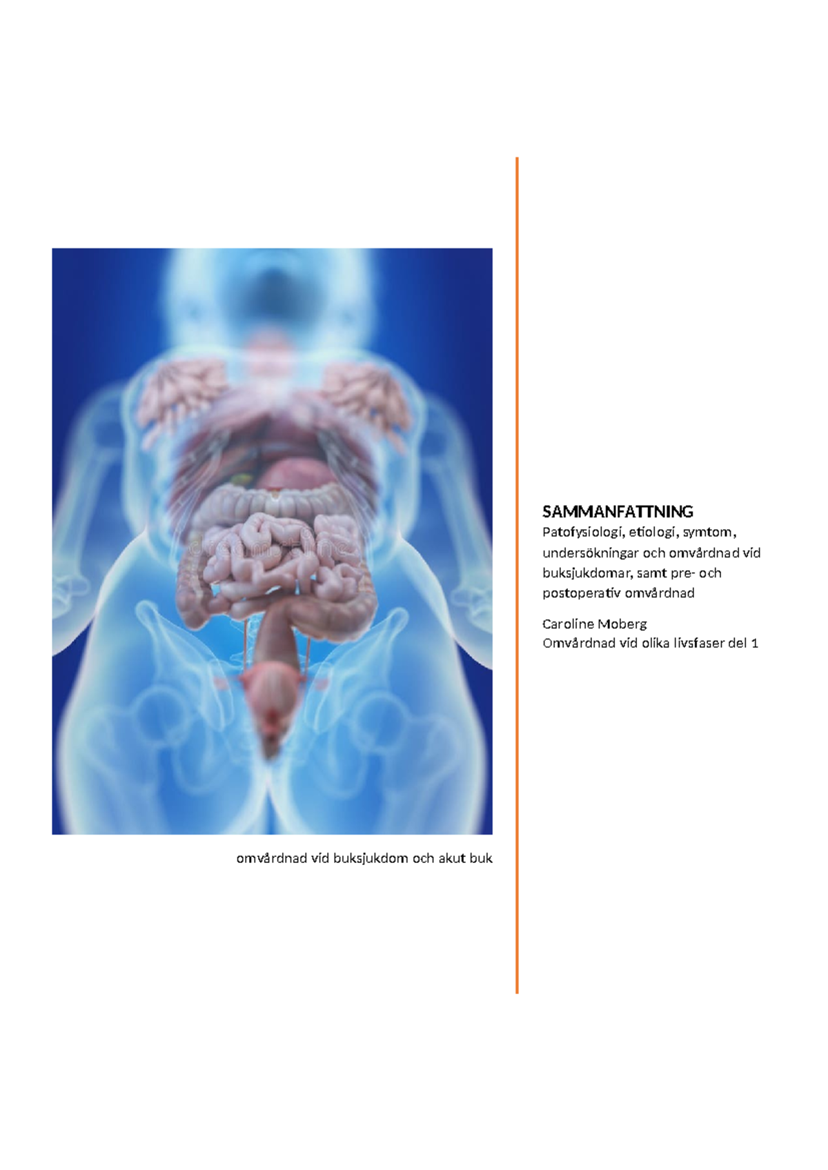 Omvårdand vid buksjukdom - omvårdnad vid buksjukdom och akut buk ...