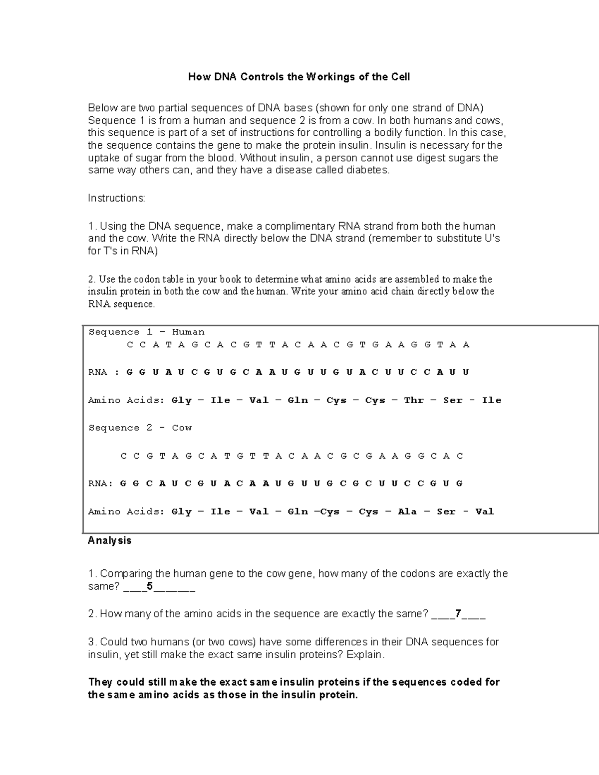 DNA worksheet answers - Answer Key - How DNA Controls the Workings of ...