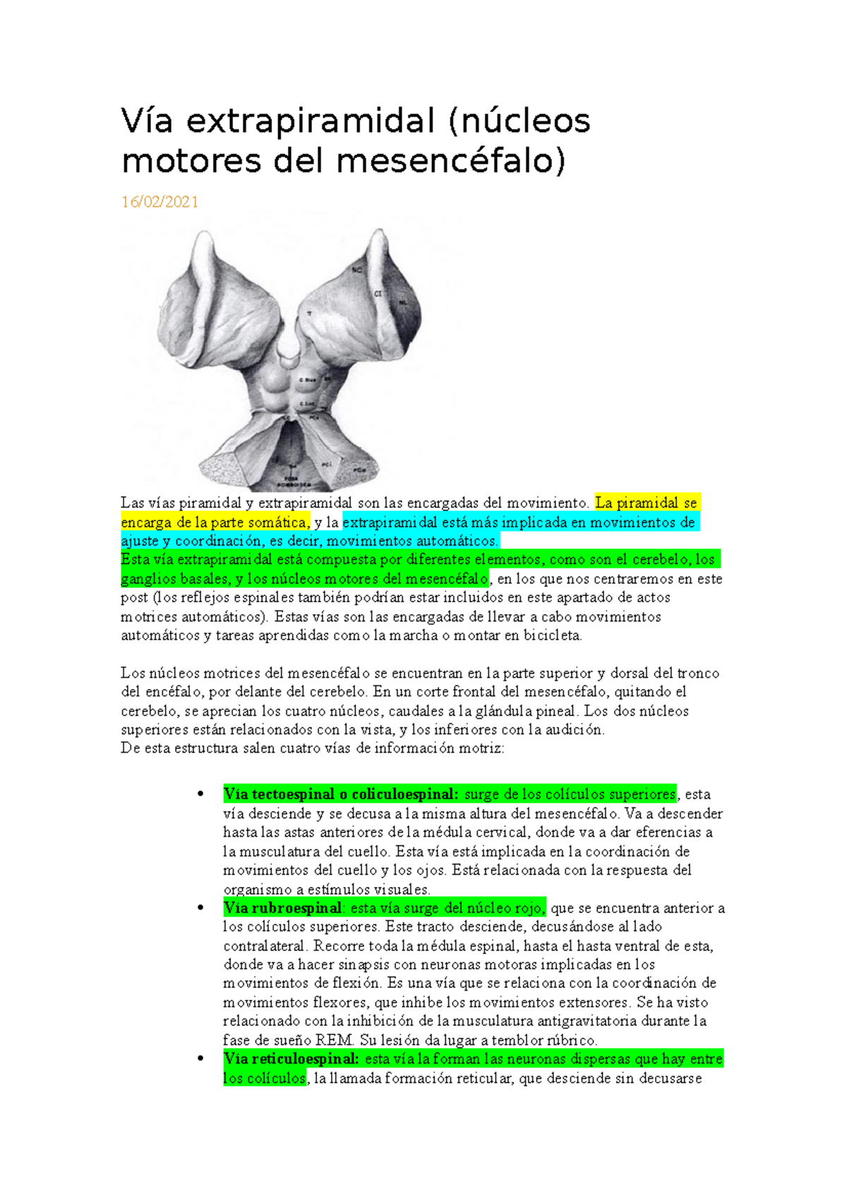 Vía extrapiramidal - sindrome extrapiramidadl - Vía extrapiramidal ...