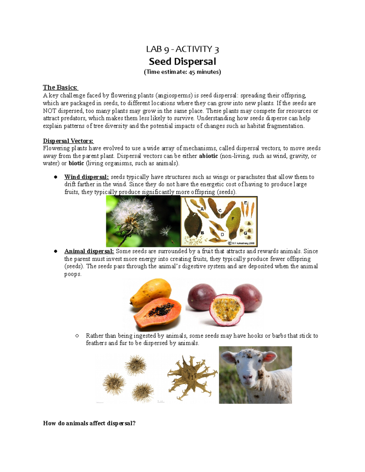 Copy of Lab9activity 3 seed dispersal - LAB 9 - ACTIVITY 3 Seed ...