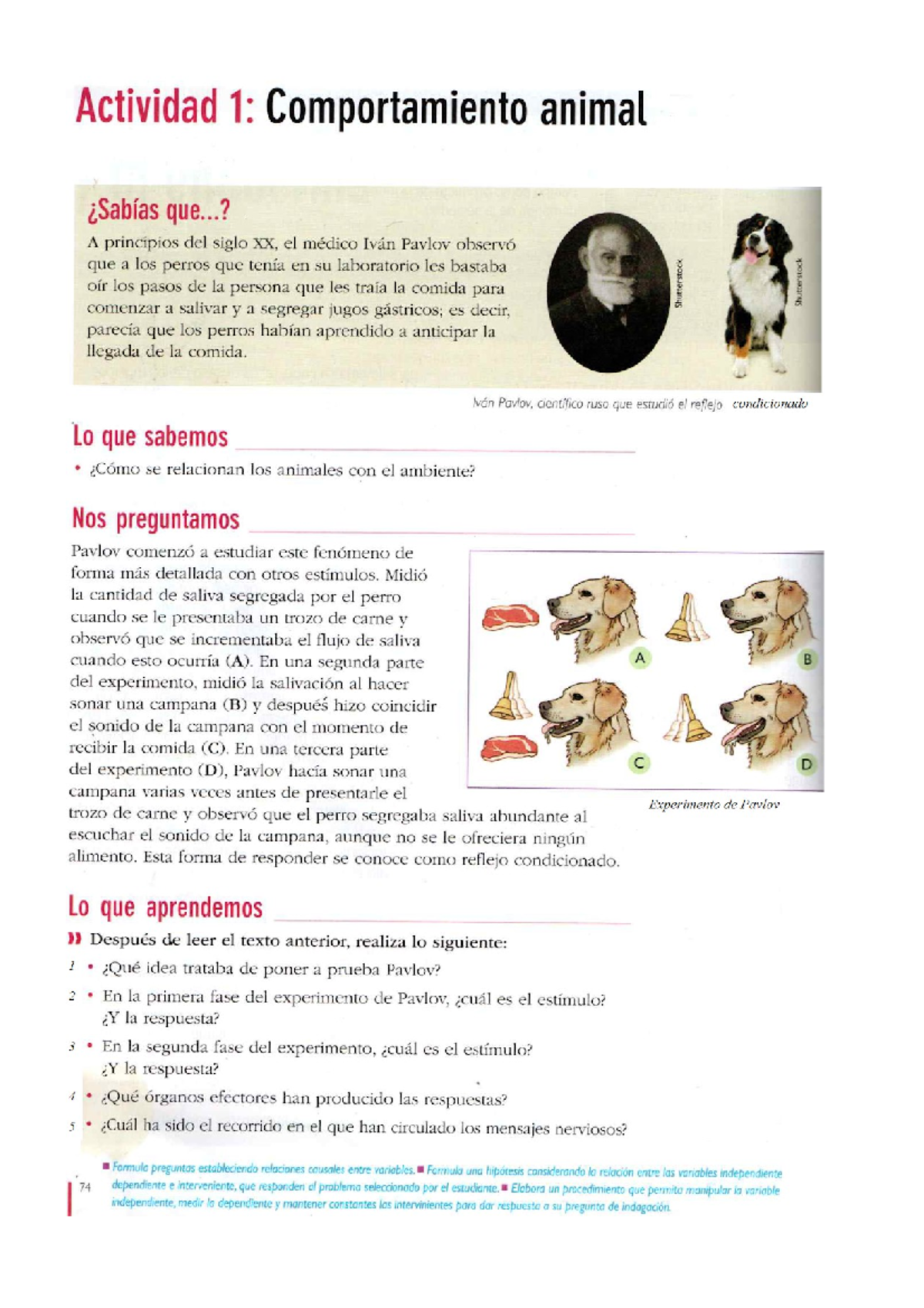 Cmportamiento animal 2do-U5 - Ciudadanía y reflexión etica - Studocu