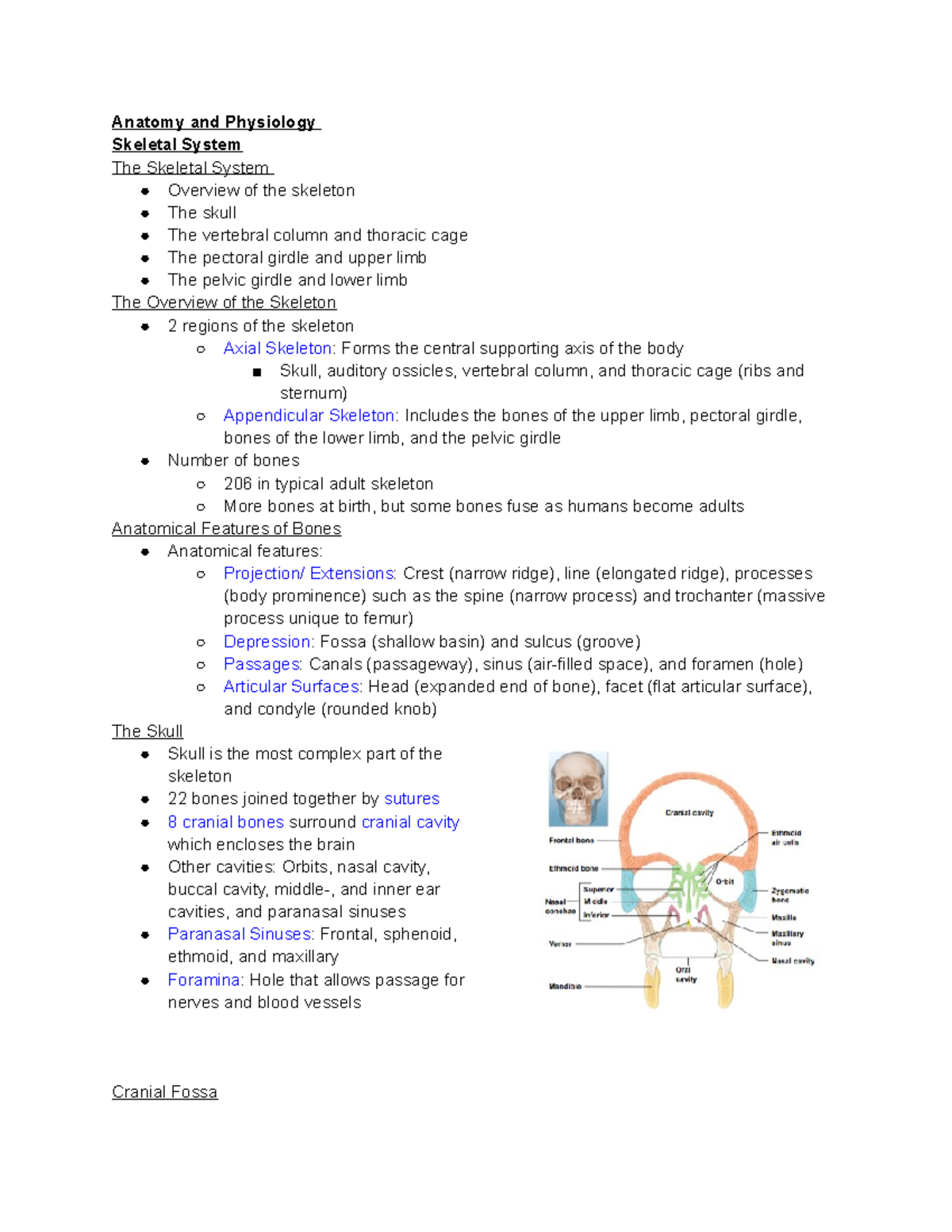 Class Notes Skeletal System - Anatomy and Physiology Skeletal System ...