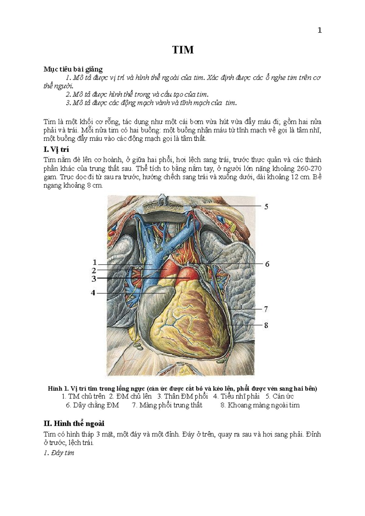 13 Tim - tim - TIM Mục tiêu bài giảng 1. Mô tả được vị trí và hình thể ngoài của tim. Xác định ...