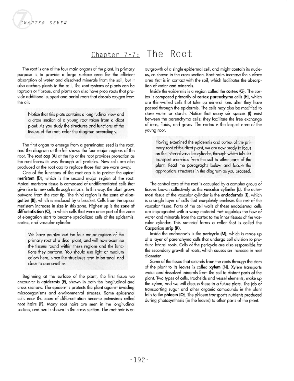 The Root - Written summaries of colouring images. Use to review key ...