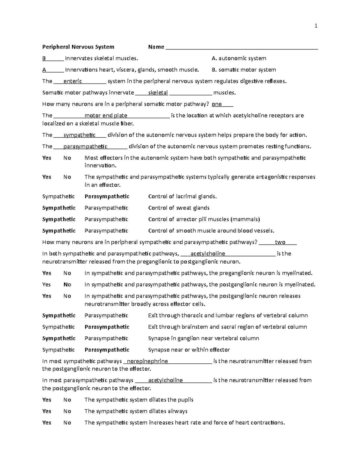 11C PNS Key - Assignment #11C Peripheral Nervous System - 1 Peripheral ...