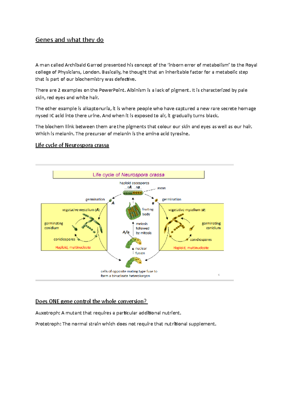 Genes - Lecture notes 1 - Genes and what they do A man called Archibald ...