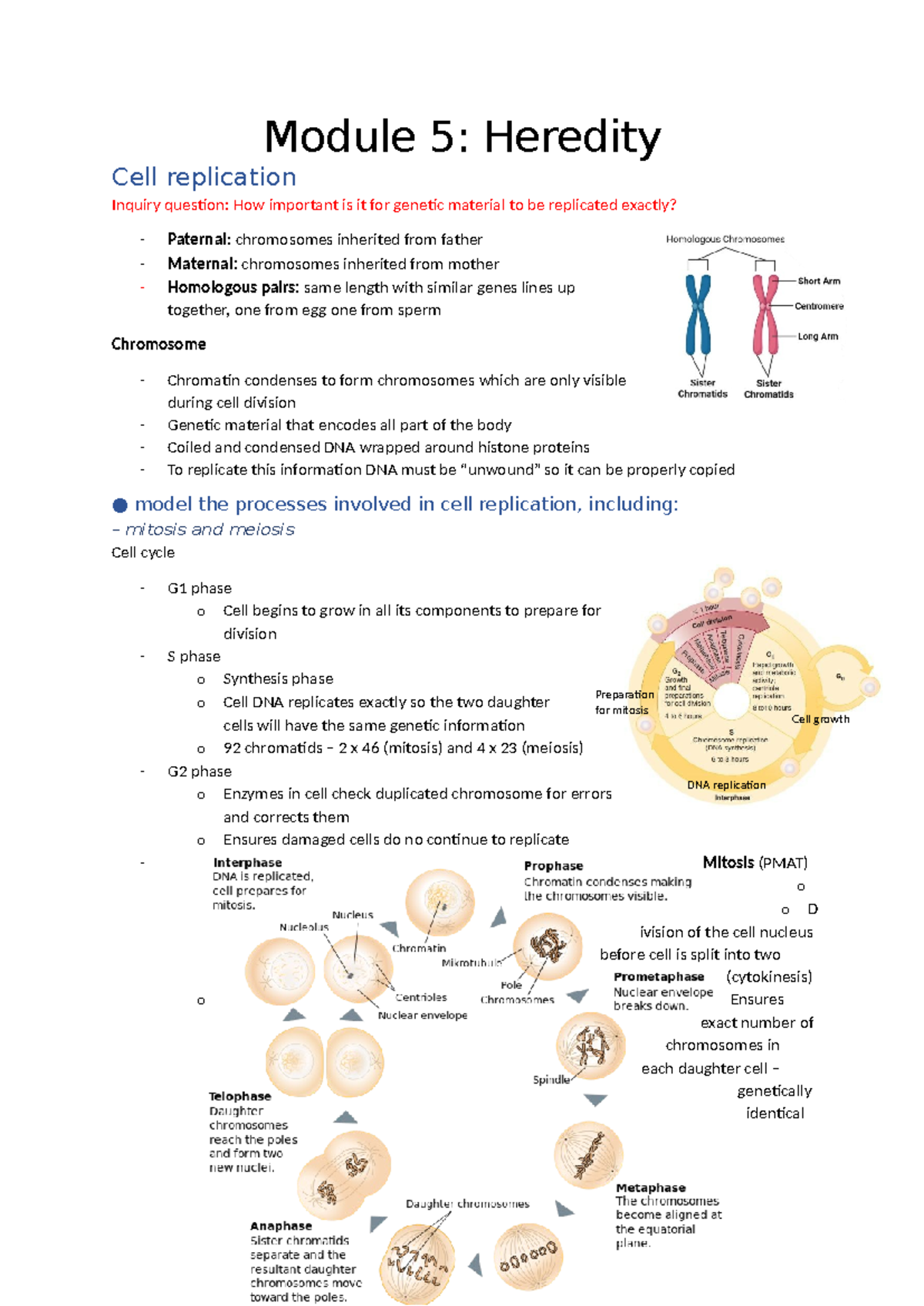 Biology Mod 5 Heredity Notes Inquiry Question 2 Module 5 Heredity Cell Replication Inquiry