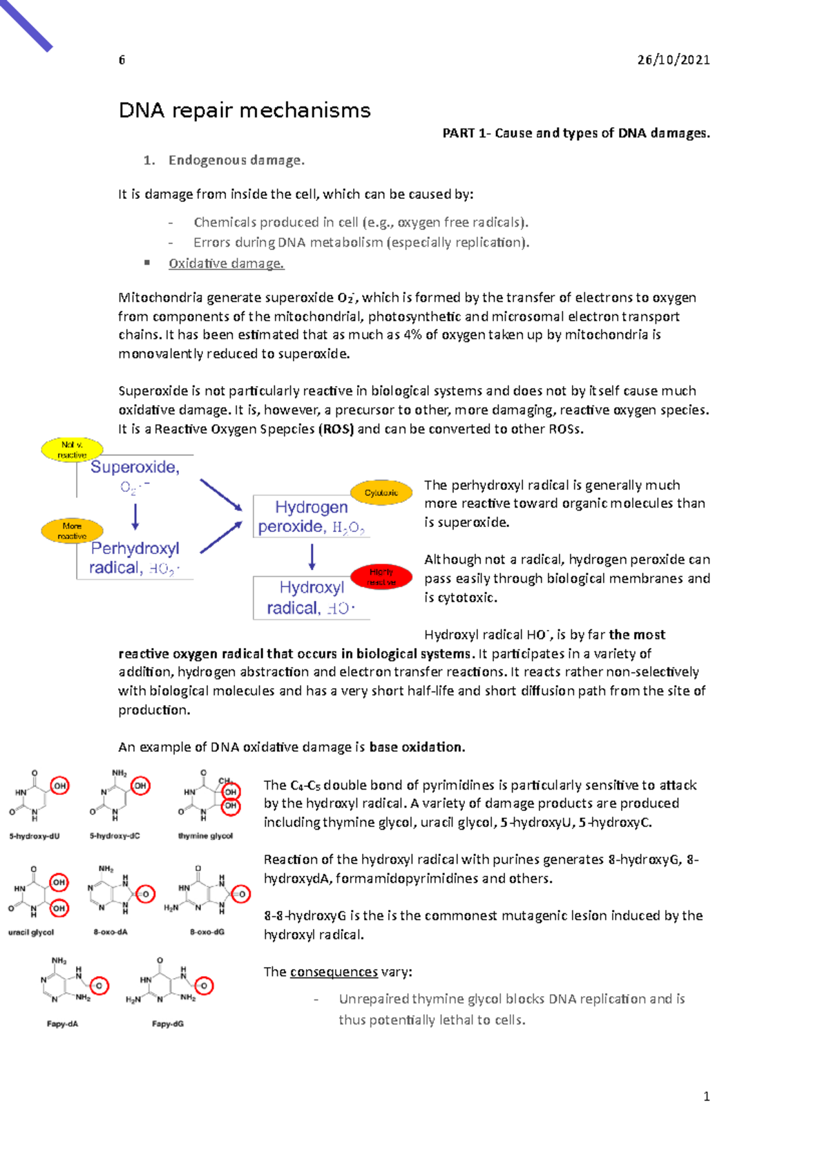 DNA damage part 1: causes, types, effects and detection. - 6 26/10/ DNA ...