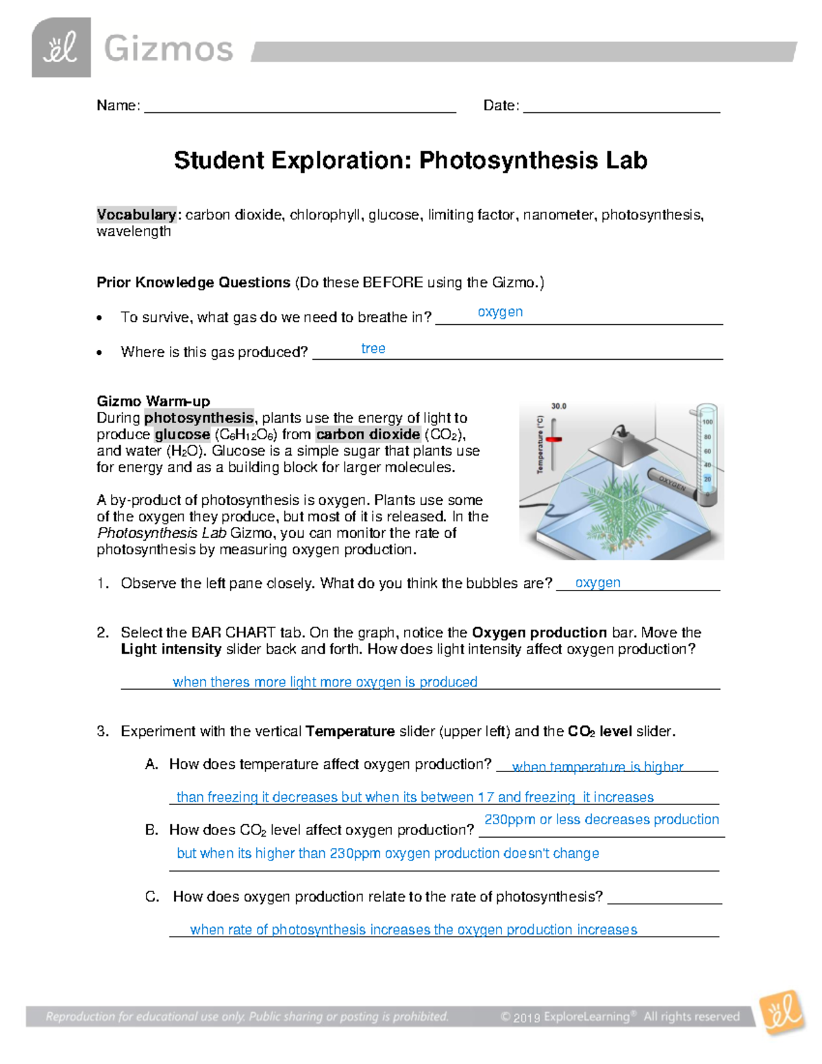 Photosynthesis Lab SE - Did in class and turned in on teams - Name ...