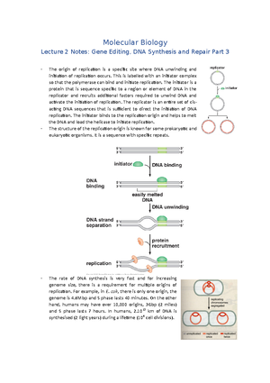 Lecture 4 Notes (Splicing and Gene Silencing) - Molecular Biology ...