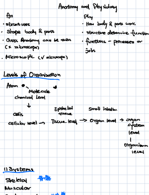 Organ system II - Lesson 8 : digestive system organs The human ...