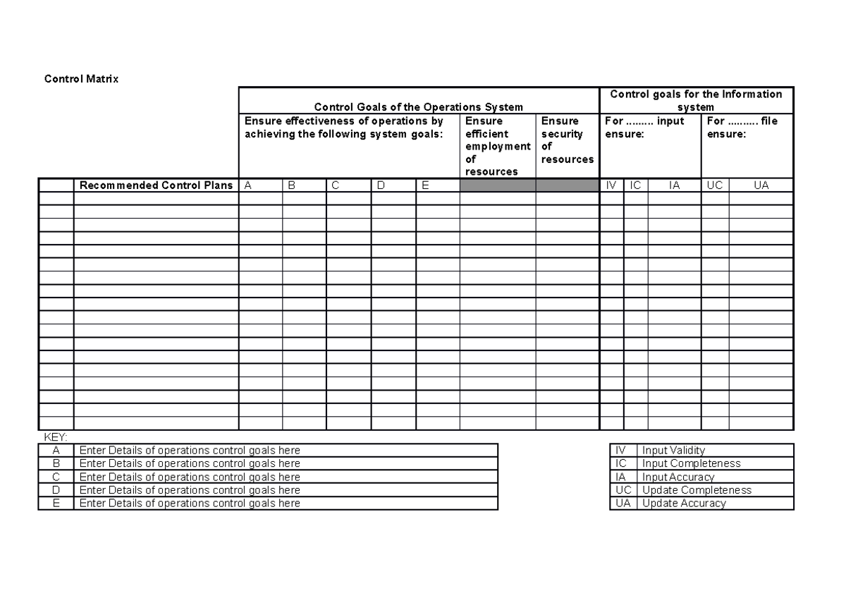 ACT 304 - Group work - Control Matrix Control Goals of the Operations ...