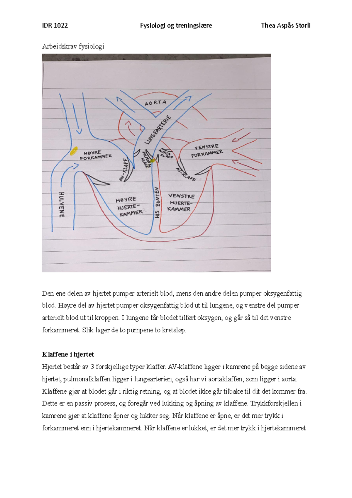 Arbeidskrav fysiologi - Høyre del av hjertet pumper oksygenfattig blod ...