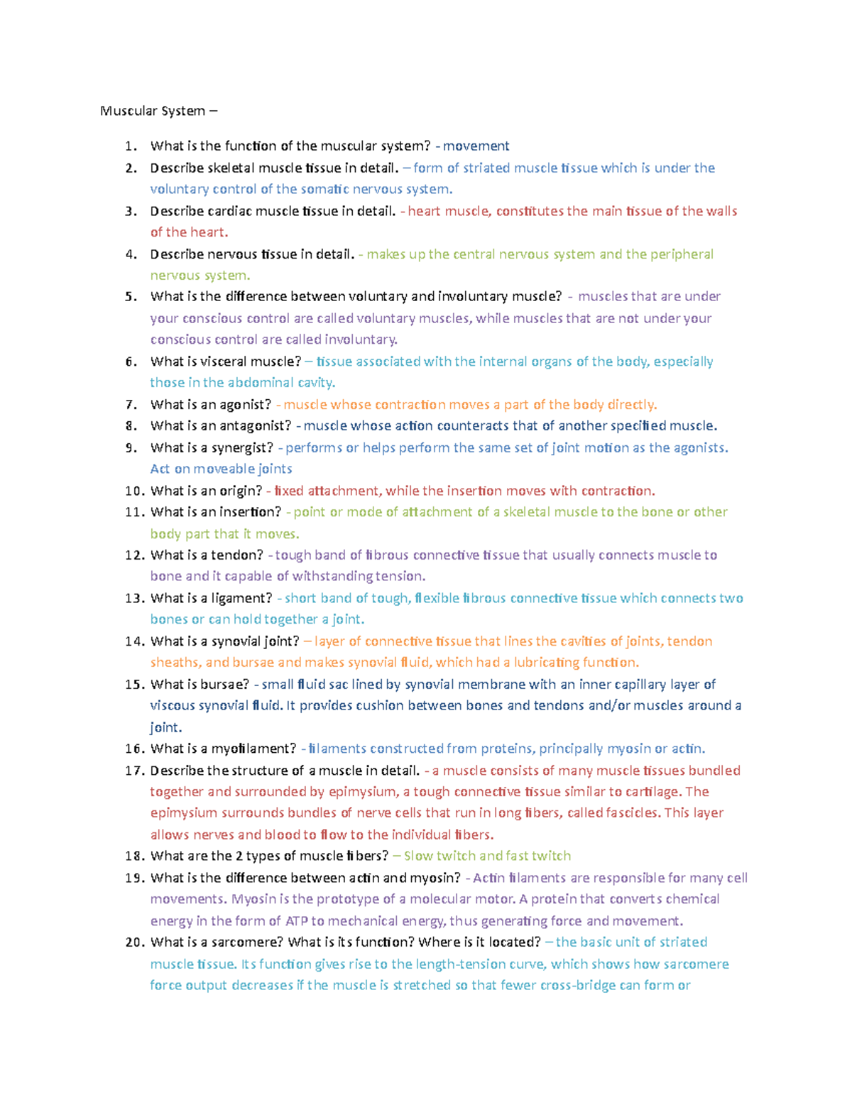Muscular System HW - Muscular System – What is the function of the ...
