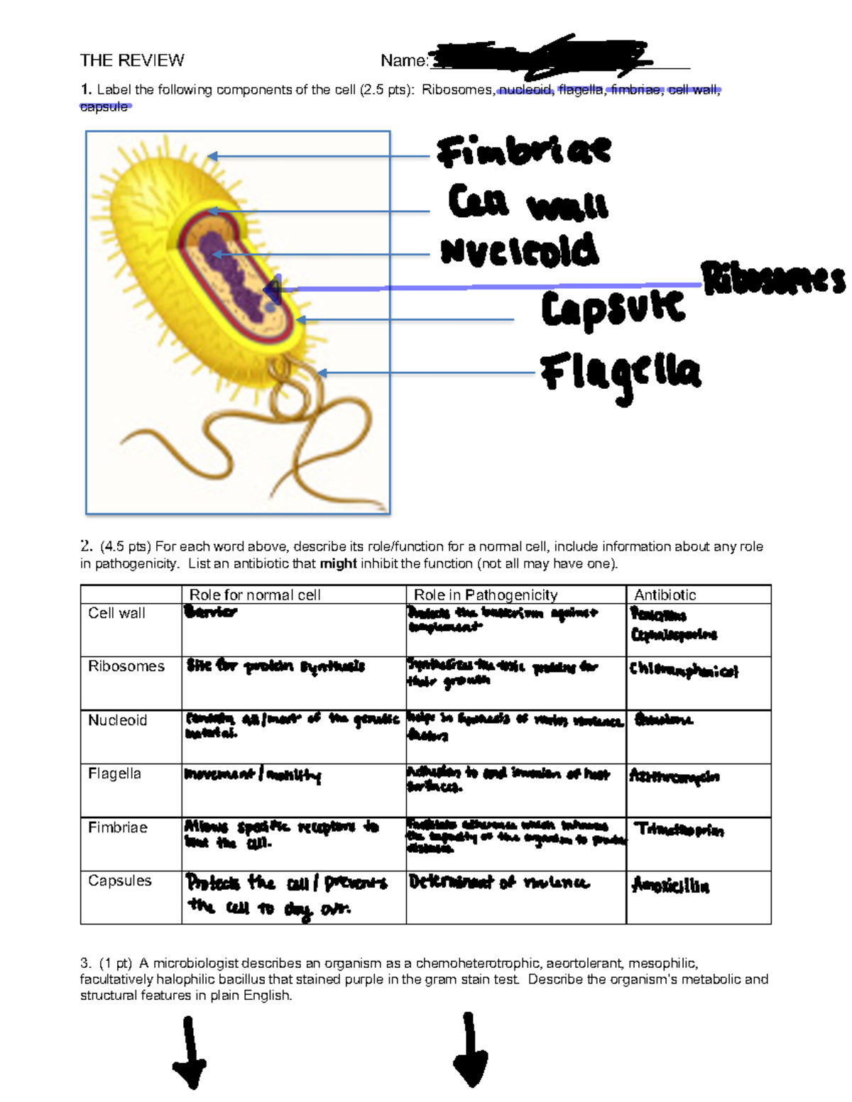 The Review_ Cell - THE REVIEW Name:____________________________ Label ...