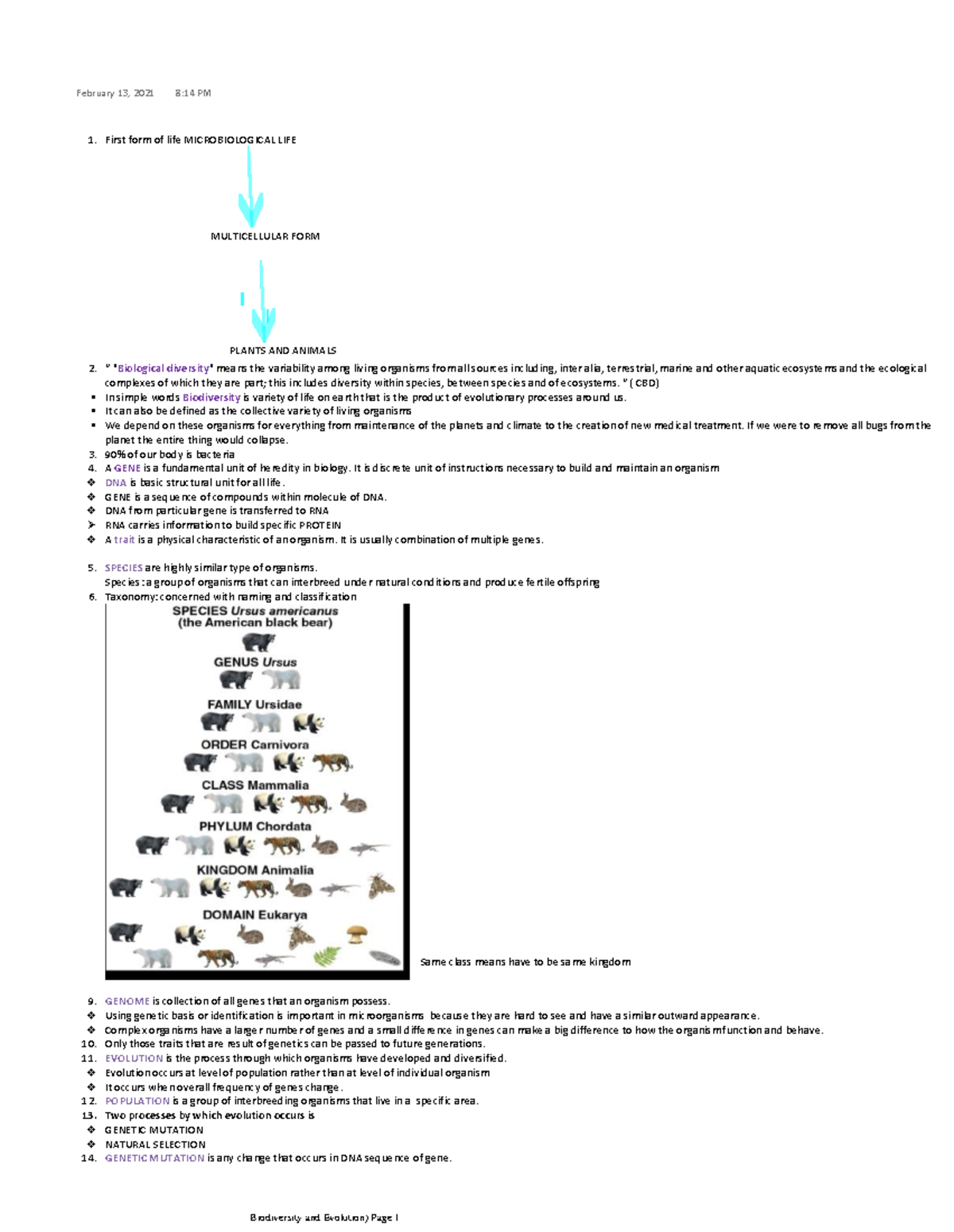 Ch4 - Lecture notes Biodiversity - 1 form of life MICROBIOLOGICAL LIFE ...
