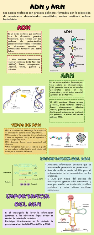 Motivos Estructurales Responsables DE LA Unión DE Proteínas AL DNA ...