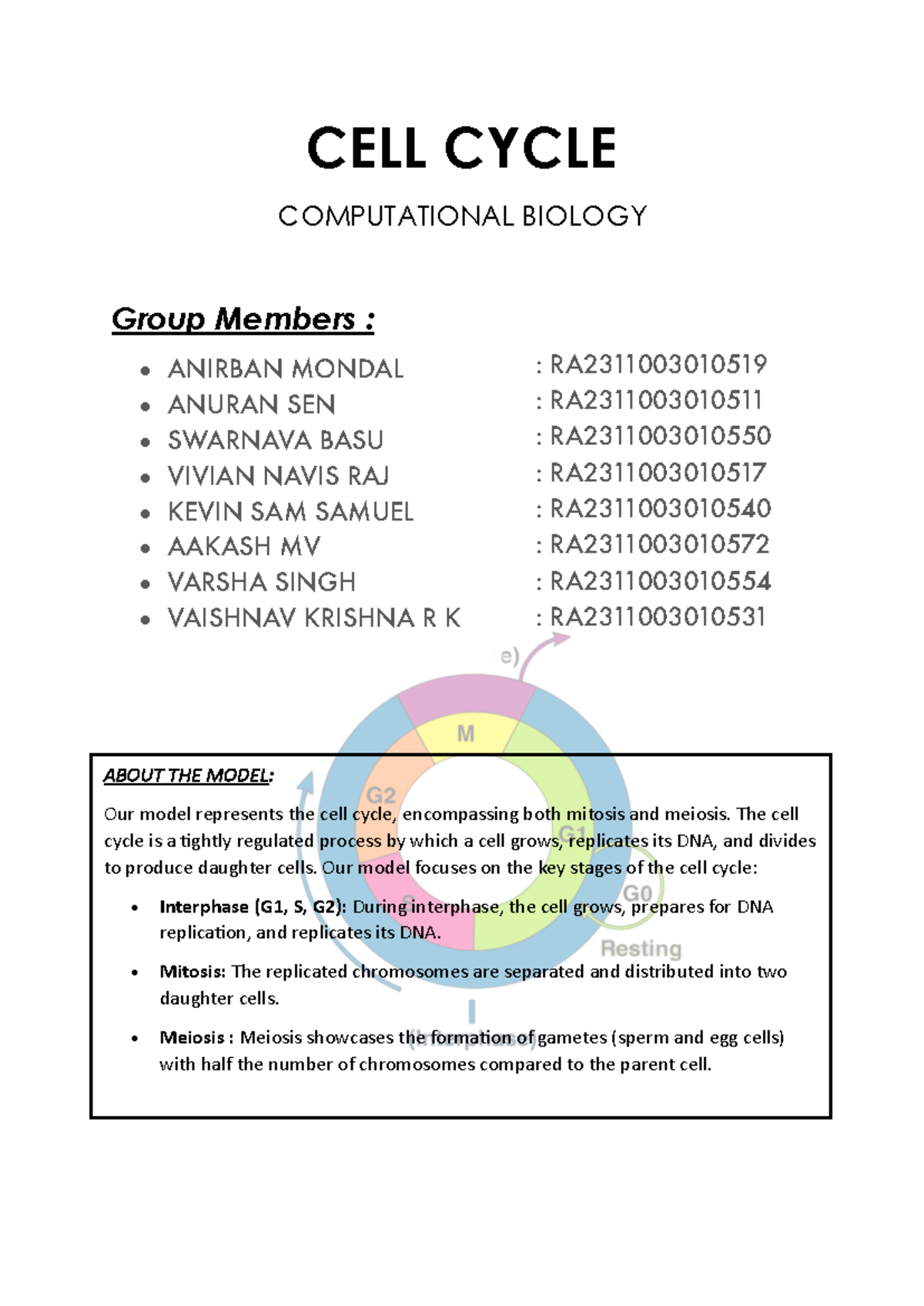 BIO Project Report - CELL CYCLE COMPUTATIONAL BIOLOGY Group Members ...