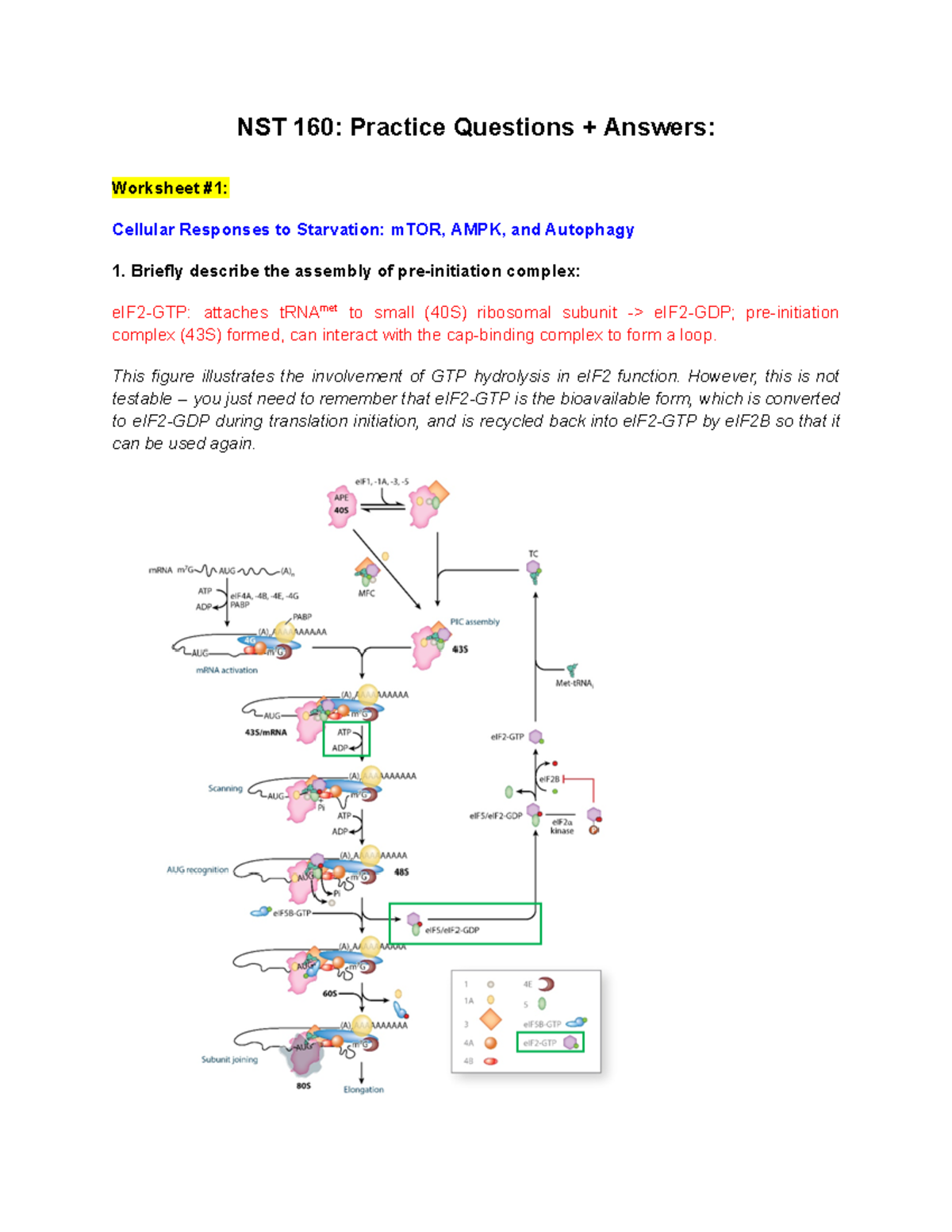 NST 160 Practice Questions + Answers - NST 160: Practice Questions ...