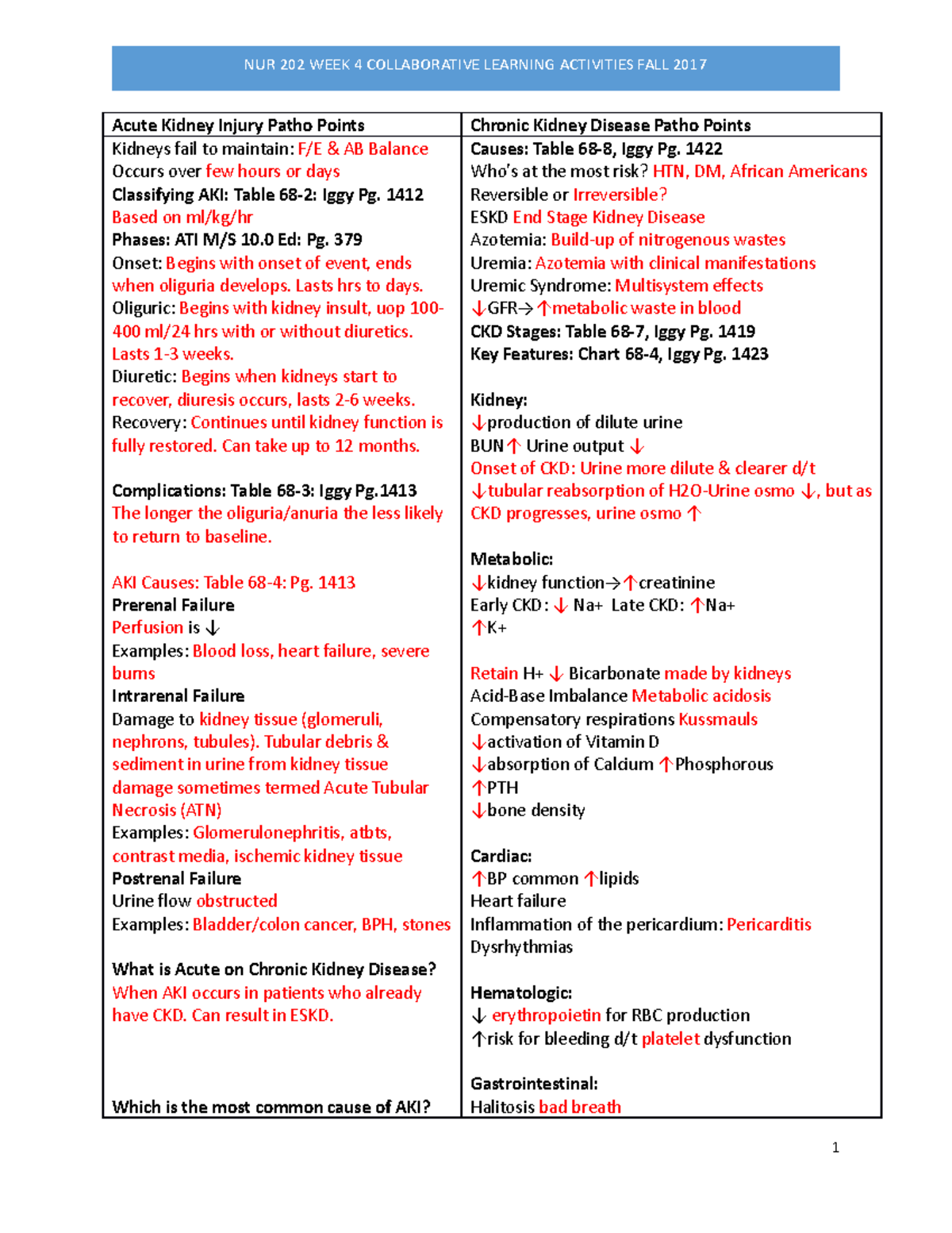 NUR 202 Renal Patho Points - Acute Kidney Injury Patho Points Chronic Kidney Disease Patho ...
