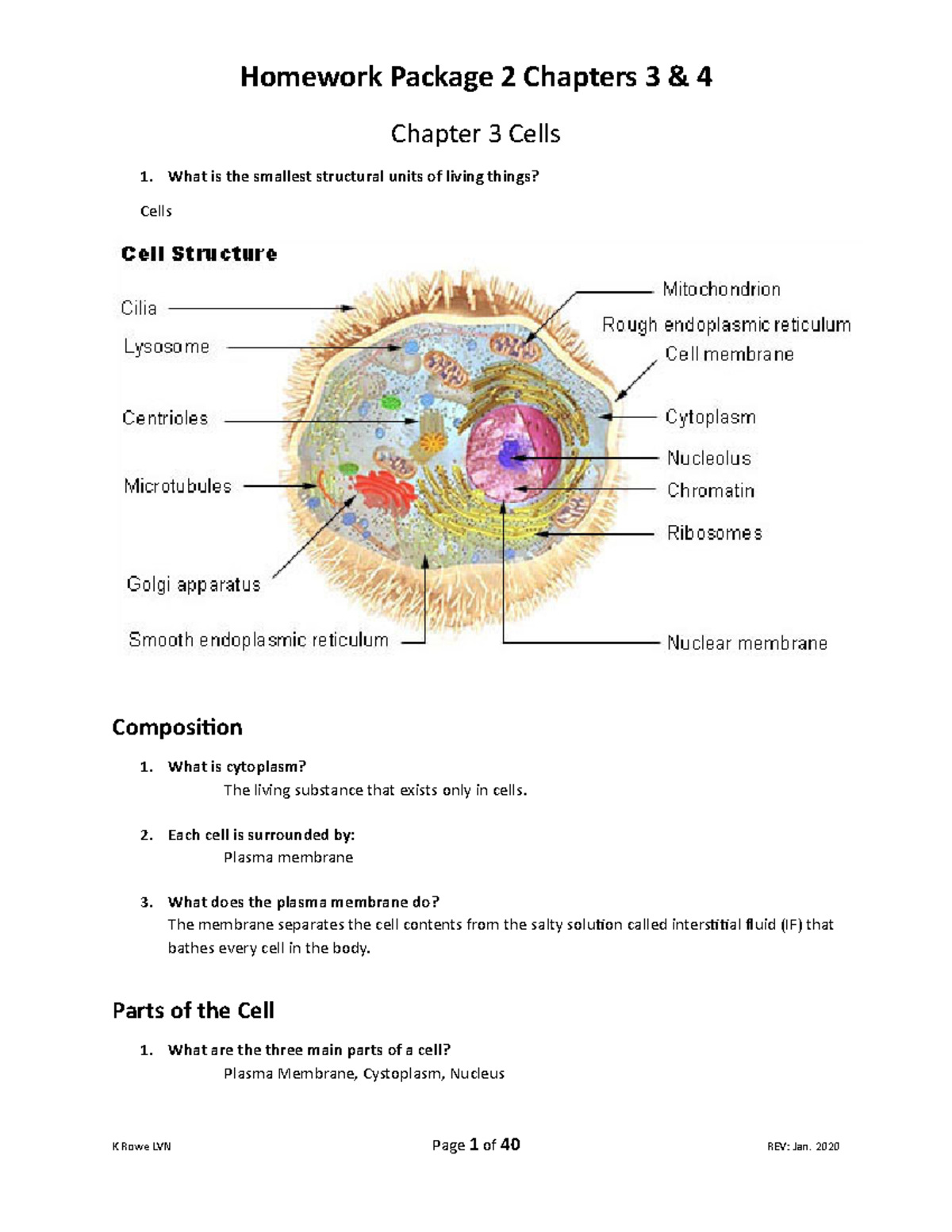 A & P Homework Package 2 Chapters 3 & 4 - Chapter 3 Cells 1. What is ...