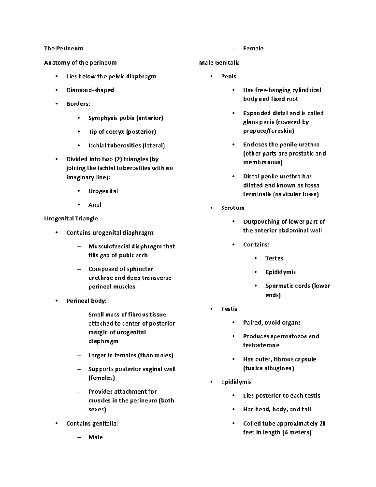 Health Assessment notes - PA 2 Perinuem - The Perineum Anatomy of the ...