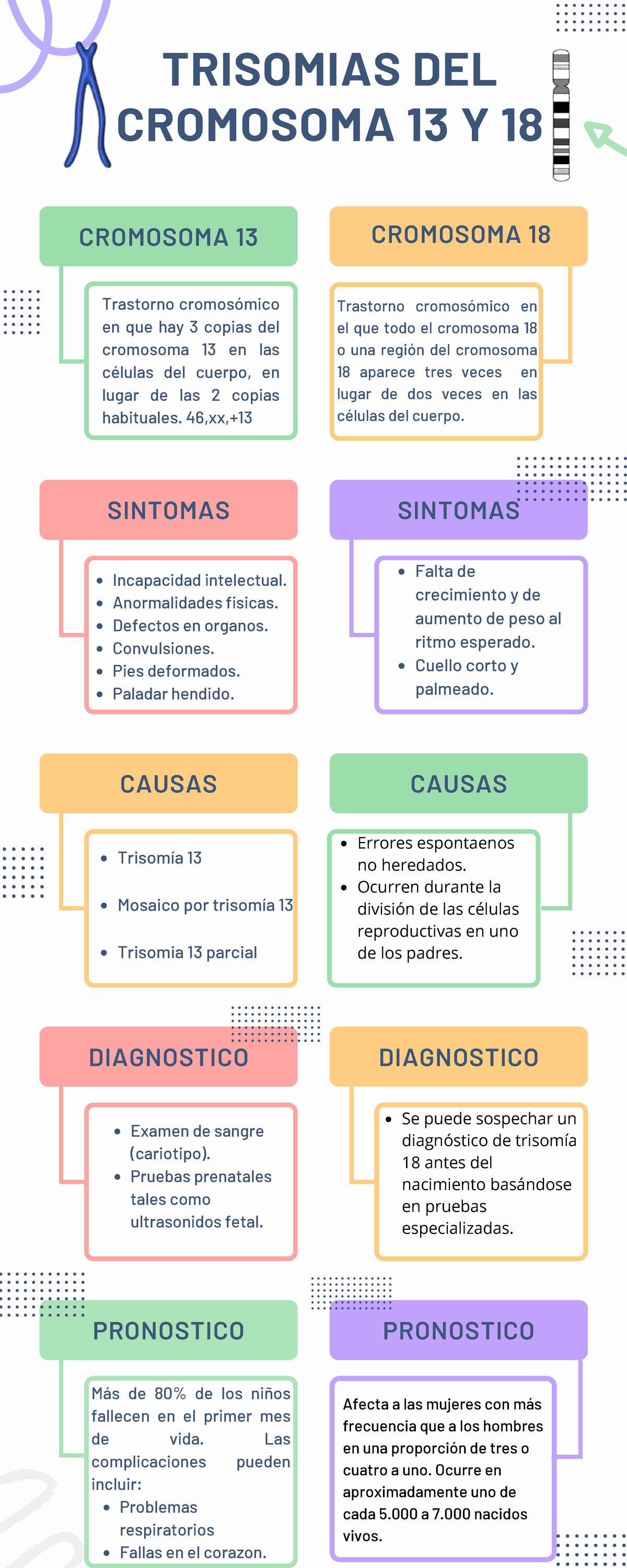Trisomia DEL Cromosoma 13 Y 18 - Afecta a las mujeres con más ...