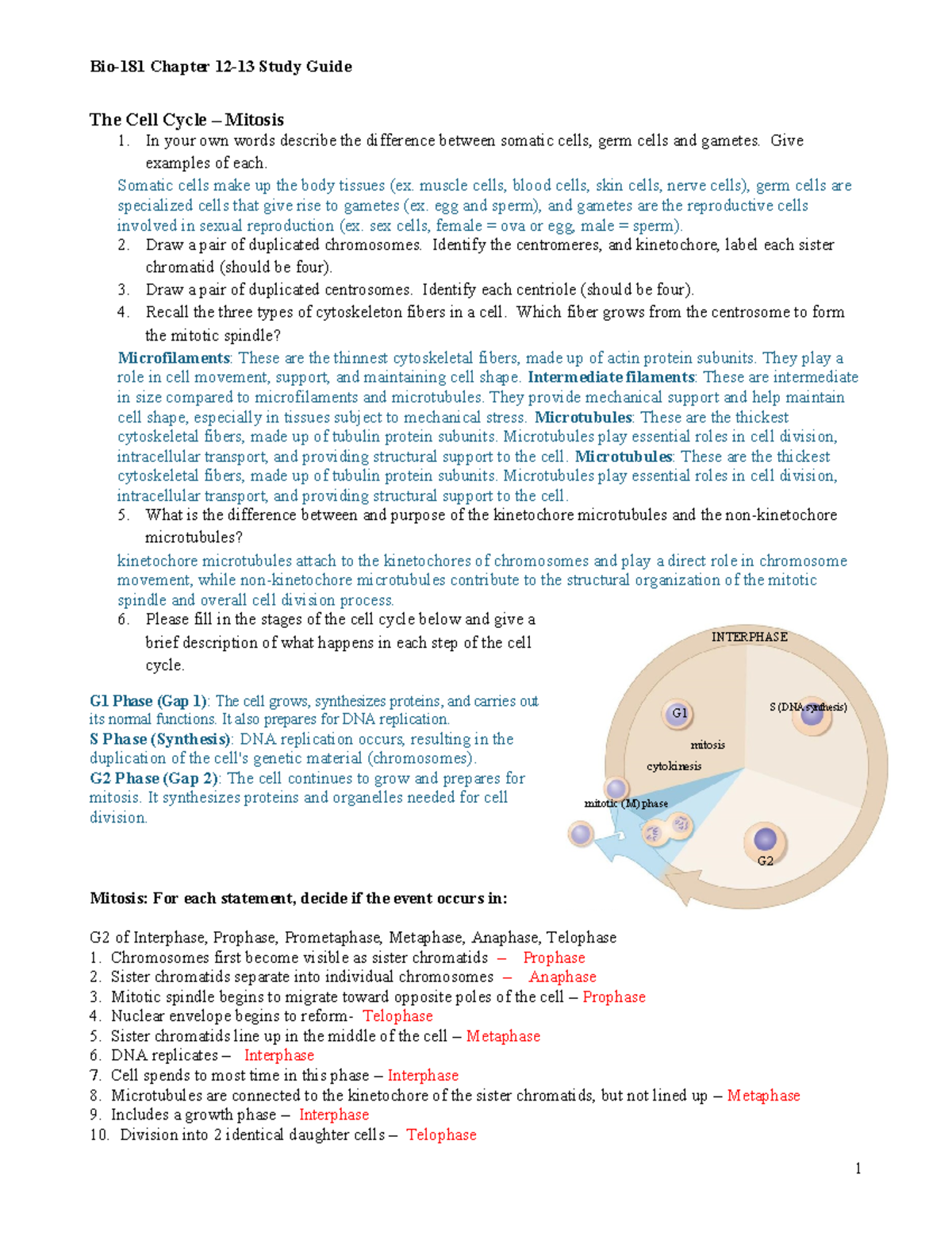 chapter 12-13 study guide - The Cell Cycle – Mitosis 1. In your own ...