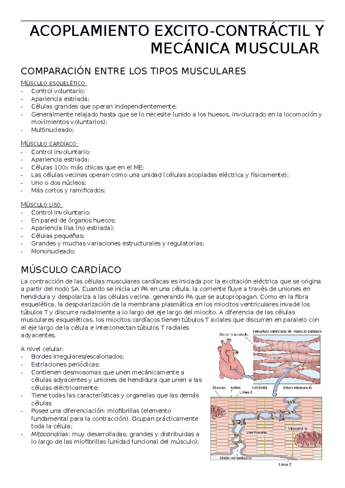 Acoplamiento Excitocontráctil - ACOPLAMIENTO EXCITO-CONTRÁCTIL Y ...