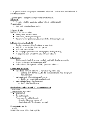 Gombák általános jellemzése - 2. 1. a az emberi A gombatest (thallus ...