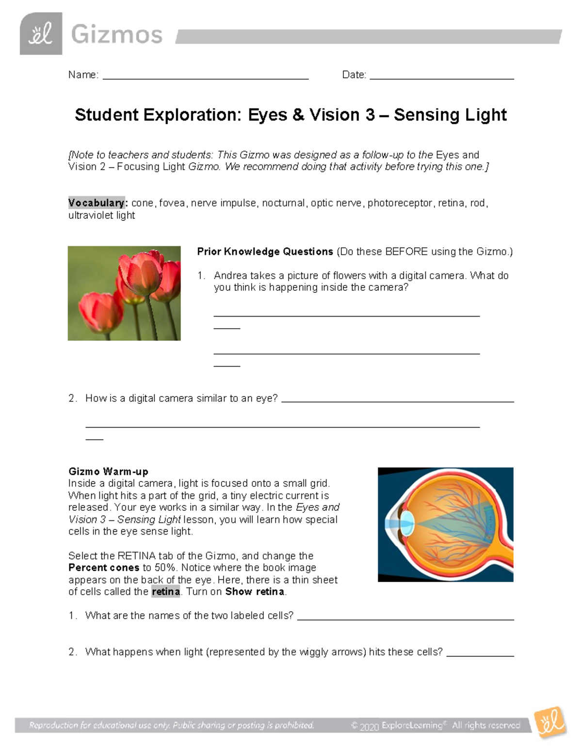 Sensing Light Worksheet - Name: Date: Student Exploration: Eyes ...
