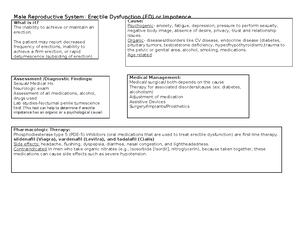Concept Map Benign Prostatic Hyperplasia (BPH) - Male Reproductive ...